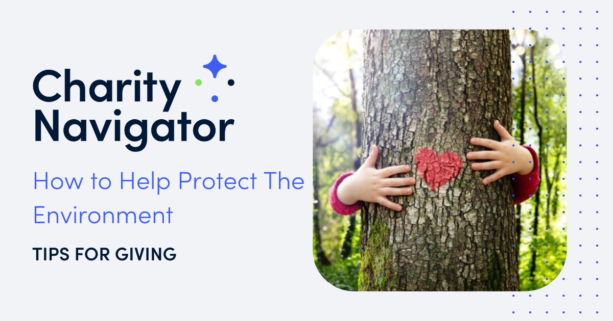 How to Help Protect The Environment | Charity Navigator
